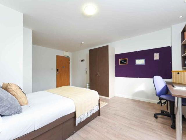 1 Bedroom Shared Living/roommate Swansea Swansea LS99458961