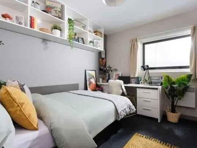 1 Bedroom Shared Living/roommate Sheffield Sheffield 99490644