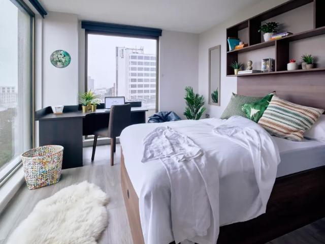 1 Bedroom Shared Living/roommate Southampton Southampton 99502830