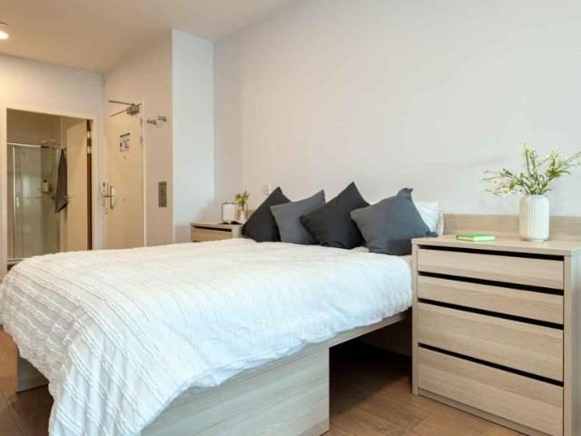 1 Bedroom Shared Living/roommate Southsea Southsea 99457844