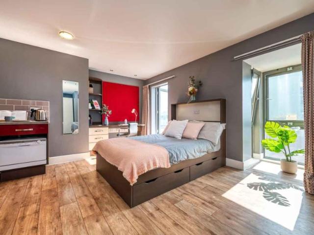 1 Bedroom Shared Living/roommate Southwark Southwark 90548200