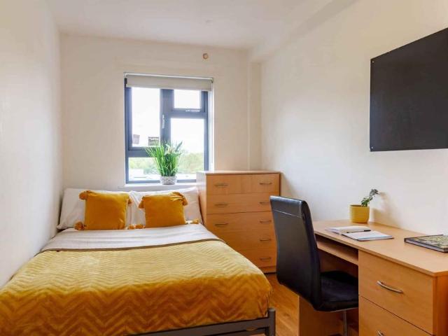 1 Bedroom Shared Living/roommate Southwark Southwark 90592176