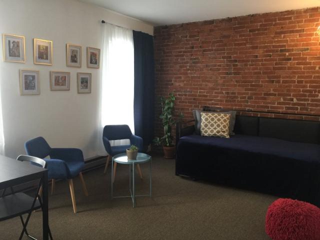 1 bedroom spacious furnished in Boston/South End