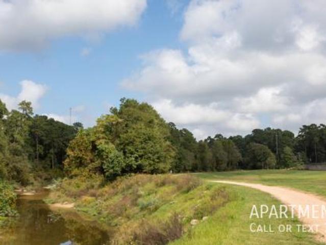 1 bedroom, Spring TX 77380 77331954