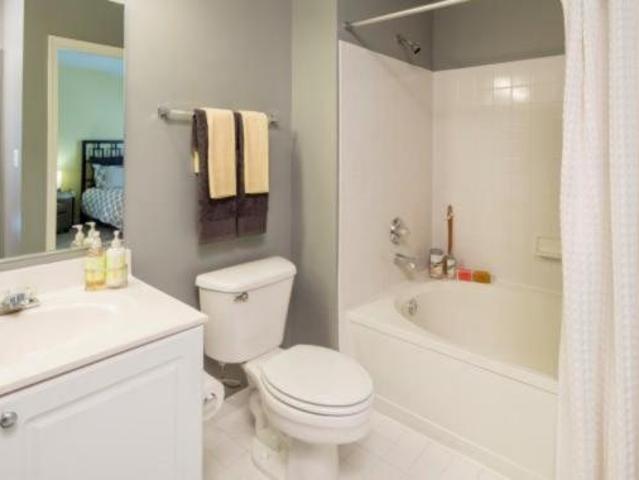 1 bedroom, Springfield VA 22150 88328557