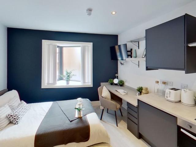 1 bedroom studio apartment to rent