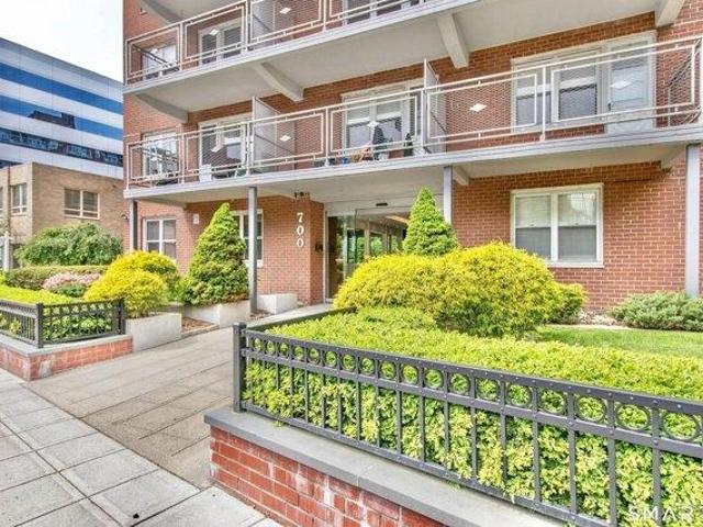 1 bedroom, Stamford CT 06901 102595261