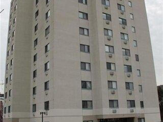 1 bedroom, Stamford CT 06902 104115539