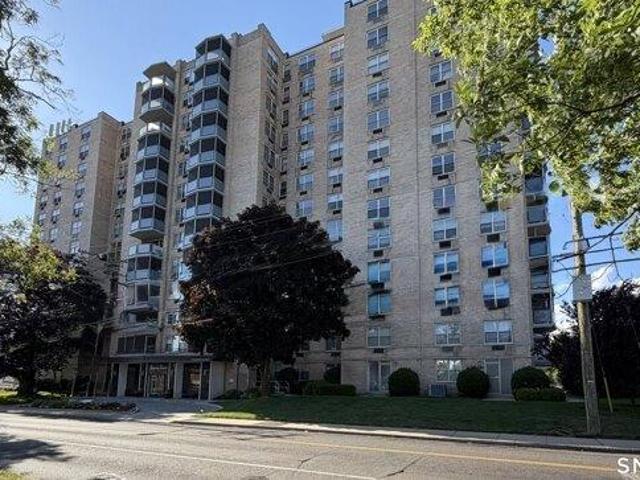 1 bedroom, Stamford CT 06902 104233714