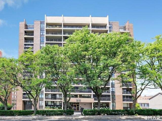 1 bedroom, Stamford CT 06902 101897433