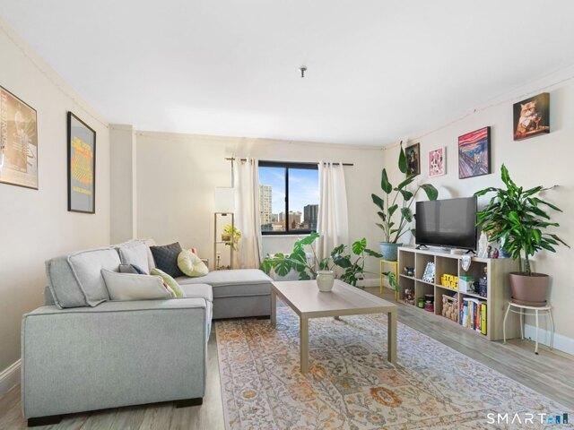 1 bedroom, Stamford CT 06902 102259042