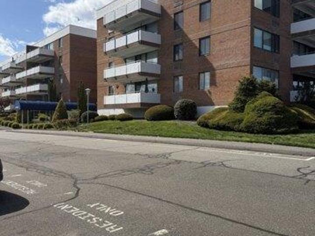 1 bedroom, Stratford CT 06615 103186679