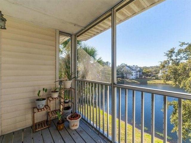 1 bedroom, Palm Harbor FL 34684 92557271