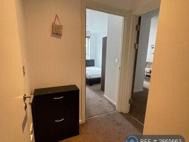 1 bedroom penthouse to rent
