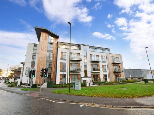 1 bedroom penthouse to rent