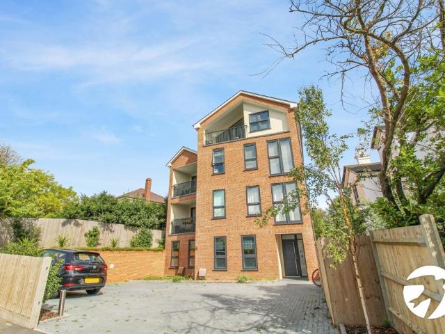 1 bedroom penthouse to rent