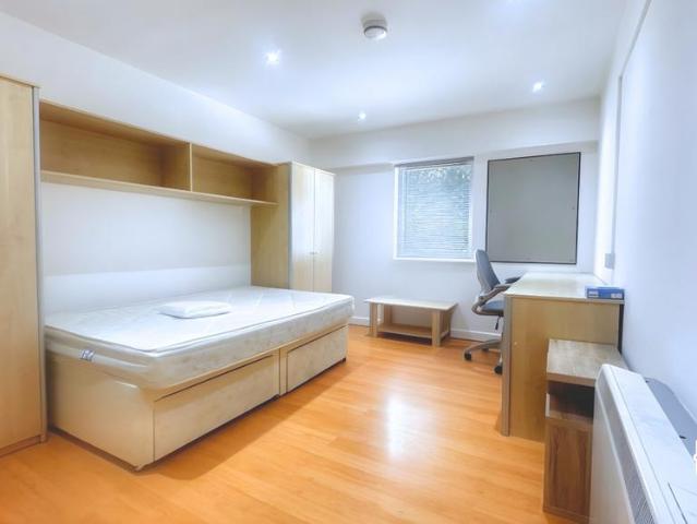 1 bedroom penthouse to rent