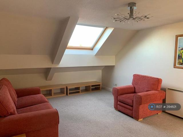 1 bedroom penthouse to rent
