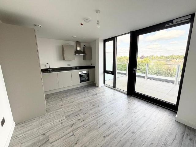 1 bedroom penthouse to rent