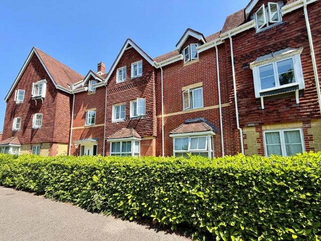 1 bedroom penthouse to rent