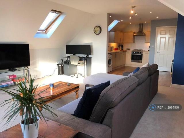 1 bedroom penthouse to rent