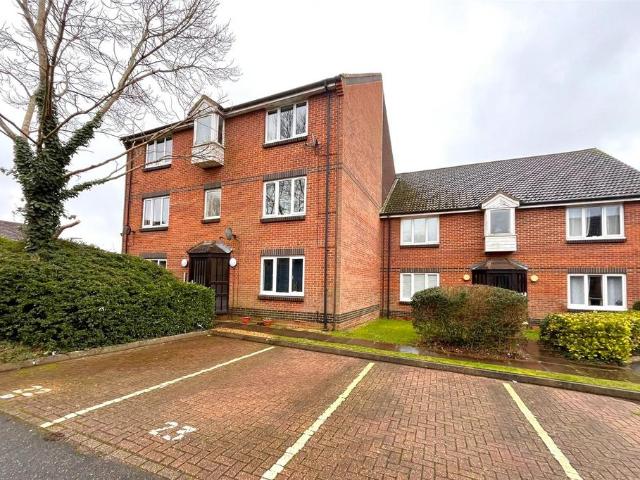 1 bedroom penthouse to rent