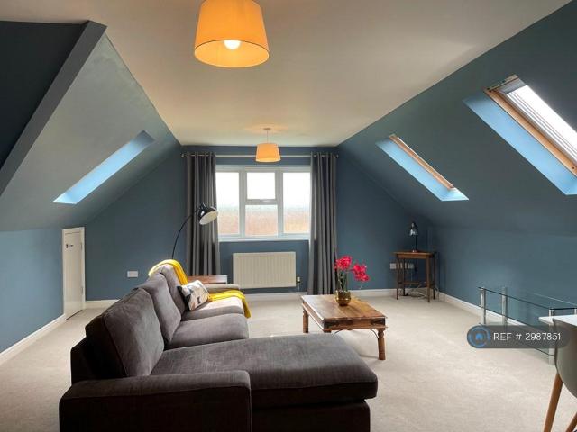 1 bedroom penthouse to rent