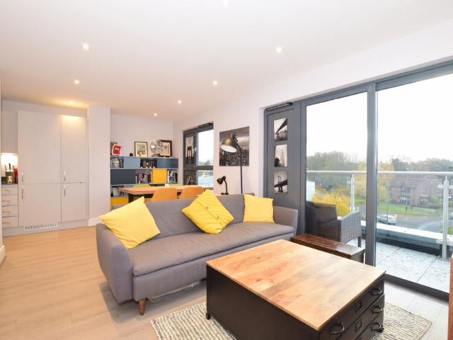 1 bedroom penthouse to rent