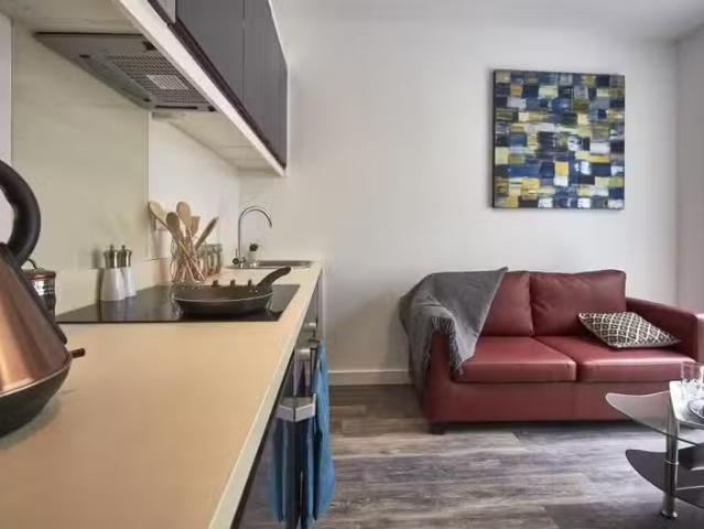 1 bedroom private hall for rent in City Heights, Cardiff,, CF24