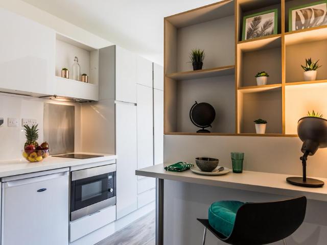 1 bedroom private halls to rent