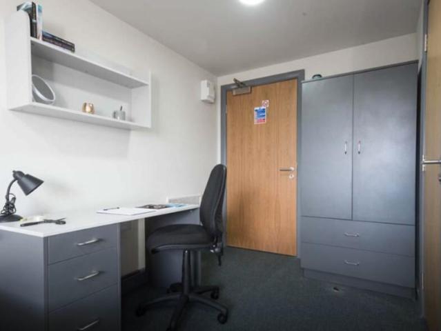 1 bedroom private halls to rent