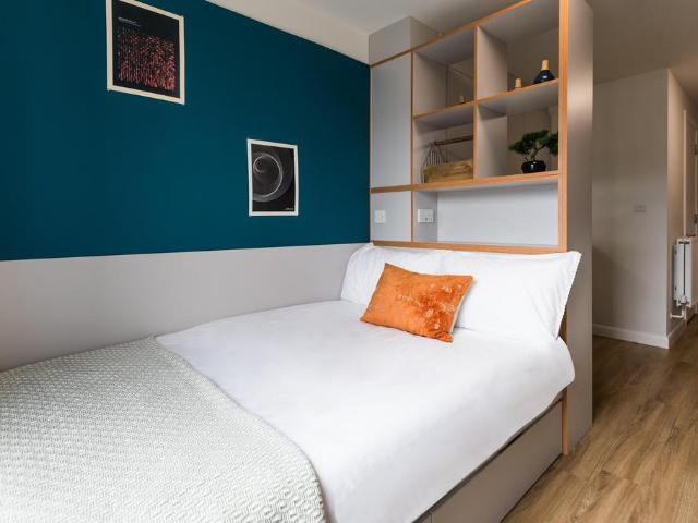 1 bedroom private halls to rent