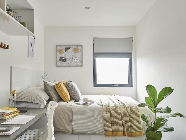 1 bedroom private halls to rent