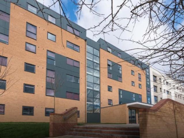 1 bedroom private halls to rent