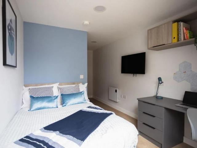 1 bedroom private halls to rent