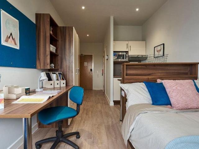 1 bedroom private halls to rent