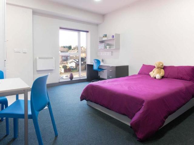 1 bedroom private halls to rent