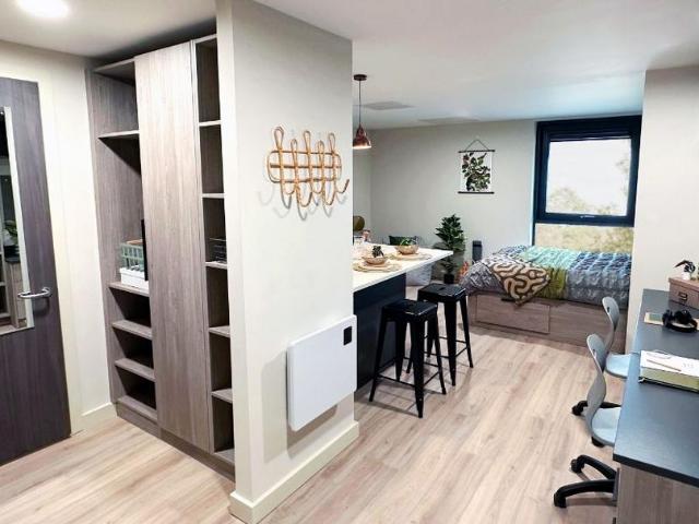 1 bedroom private halls to rent