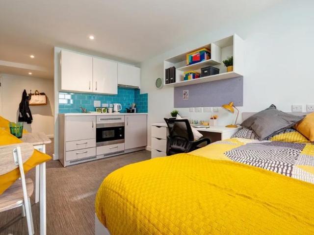 1 bedroom private halls to rent