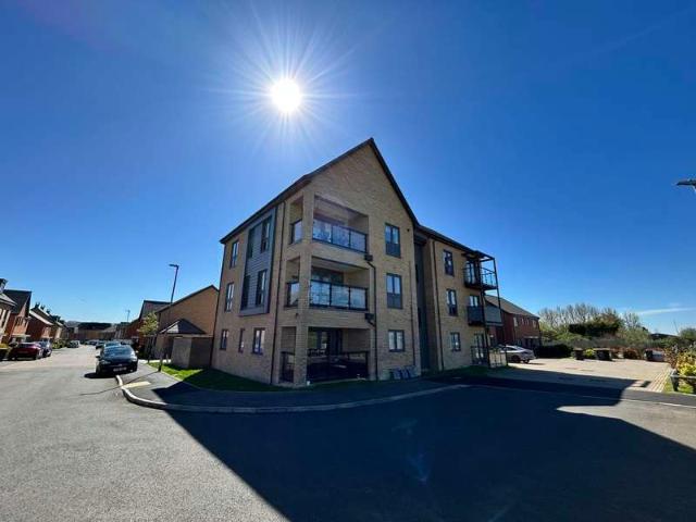 1 Bedroom Property