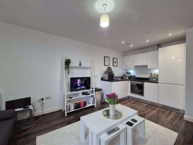 1 Bedroom Property