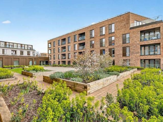 1 Bedroom Property