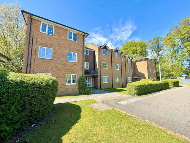 1 Bedroom Property