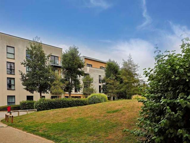 1 Bedroom Property