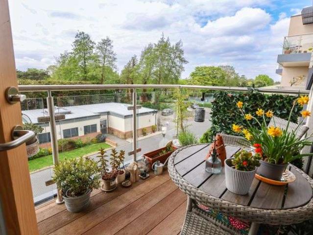 1 Bedroom Property