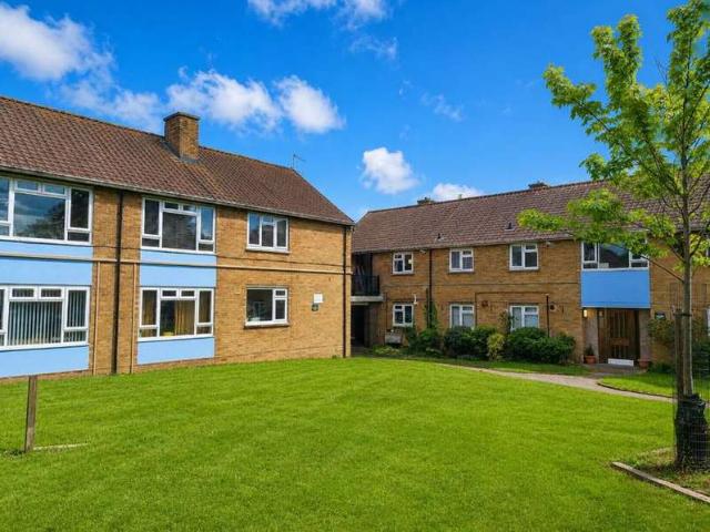 1 Bedroom Property