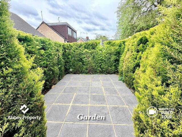 1 bedroom property to rent