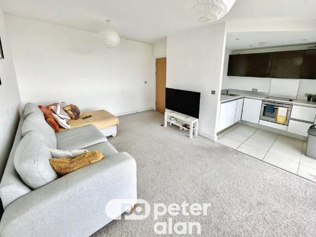 1 bedroom property to rent