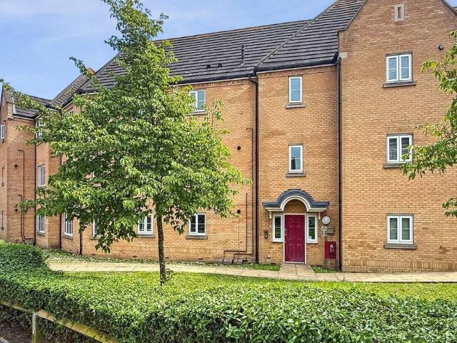 1 bedroom property to rent