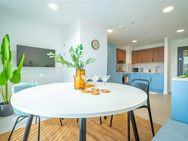 1 bedroom property to rent